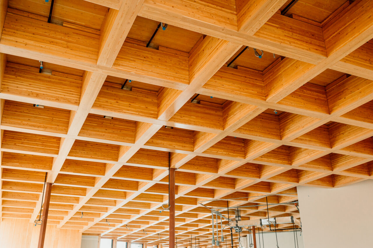 Mass Timber B | XL Construction